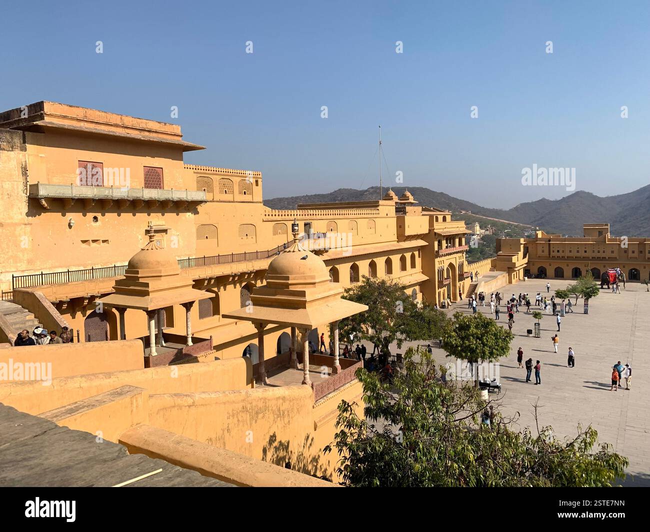 Jaipur India animals cow cows street walking walk petrol station fort ...