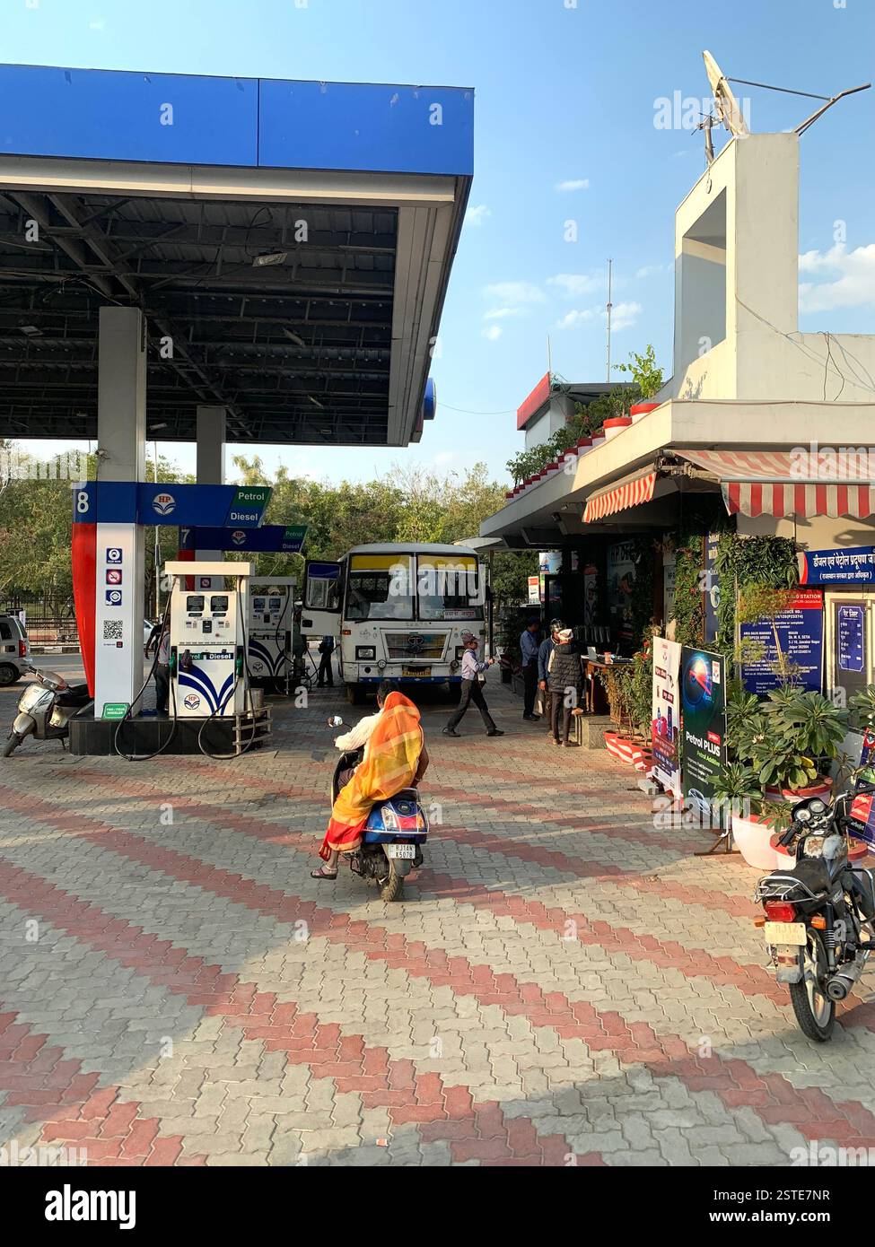 Jaipur India animals cow cows street walking walk petrol station fort ...