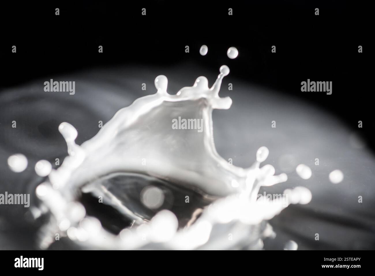 Slash of milk on black Stock Photo - Alamy