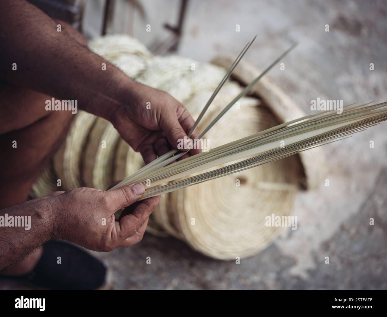 Close-up of hands skillfully handling palmito strips for crafting a ...