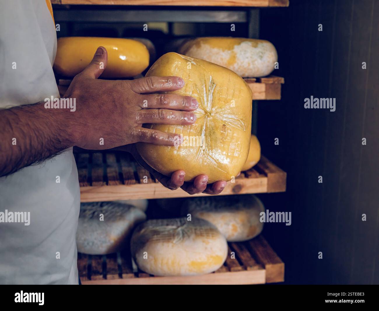 An expert cheesemaker carefully handles a large wheel of Mahon-Menorca ...