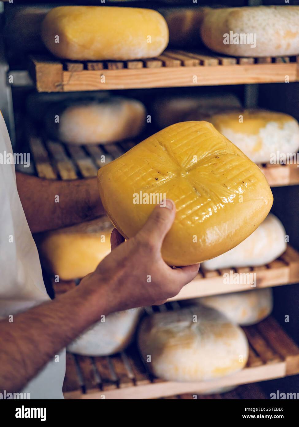 A skilled artisan carefully handles a wheel of Mahon cheese, famed for ...