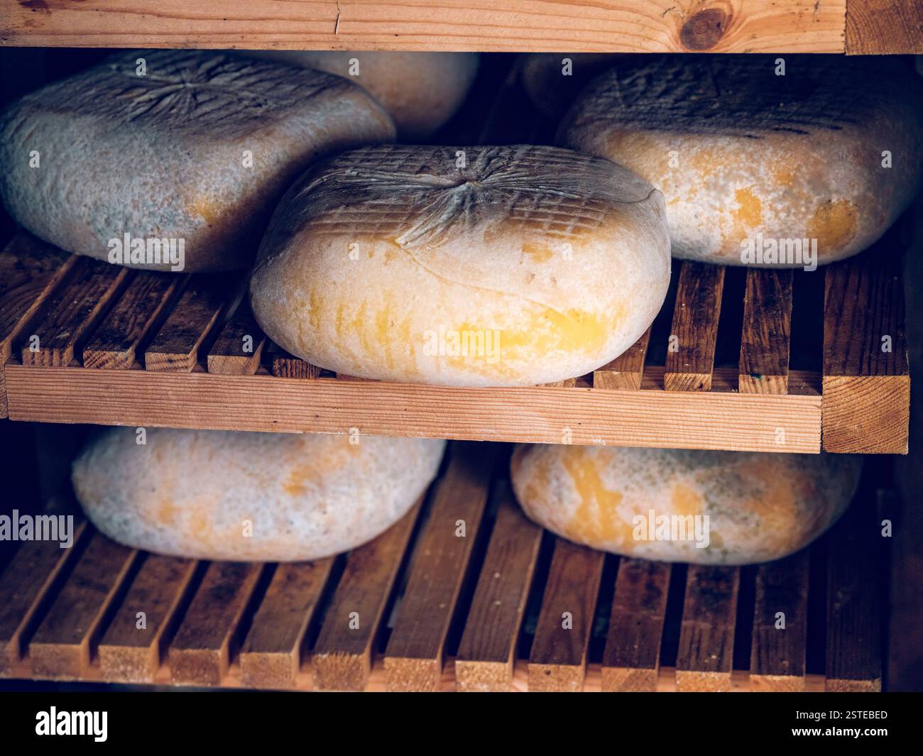 Image capturing Mahon-Menorca cheese wheels, matured and stored on ...
