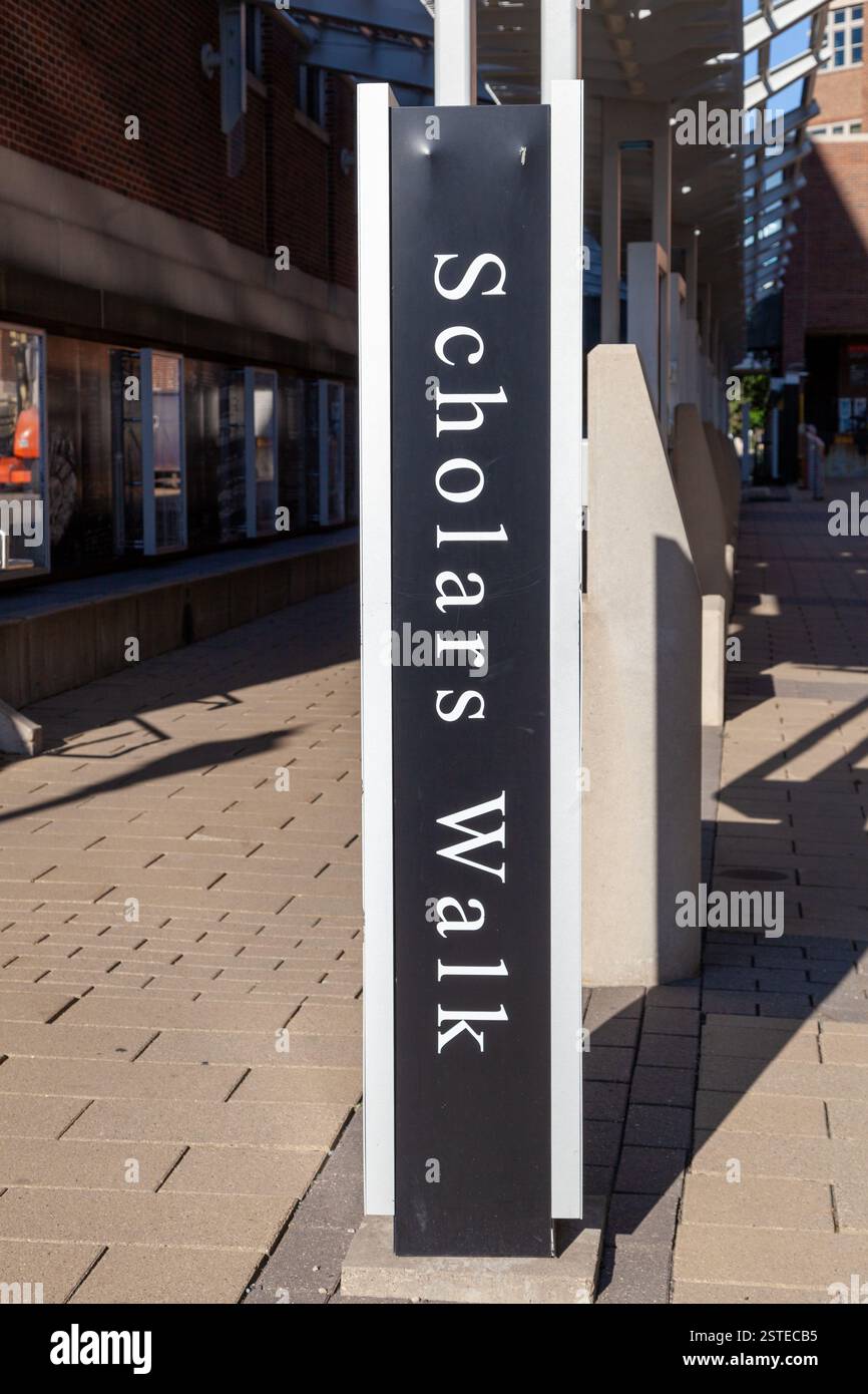 The Scholars Walk on the campus of the University of Minnesota Stock ...