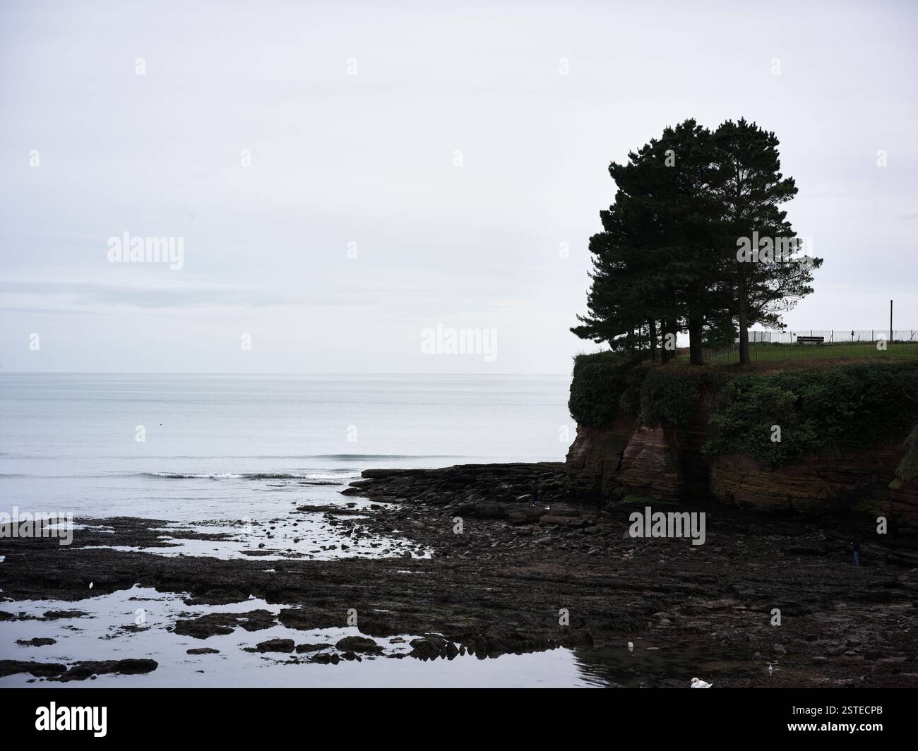 Calm head hi-res stock photography and images - Alamy