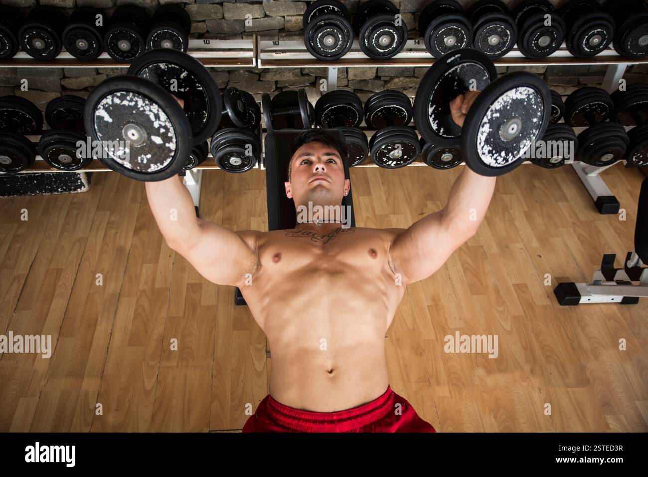 Portrait of a muscular man lifting weights at the gym Stock Photo - Alamy
