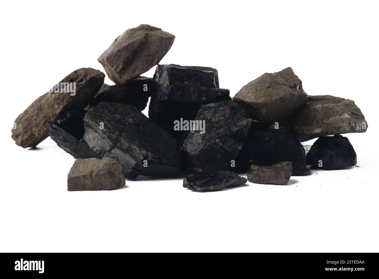 A collection of coal pieces displayed on a plain white background ...