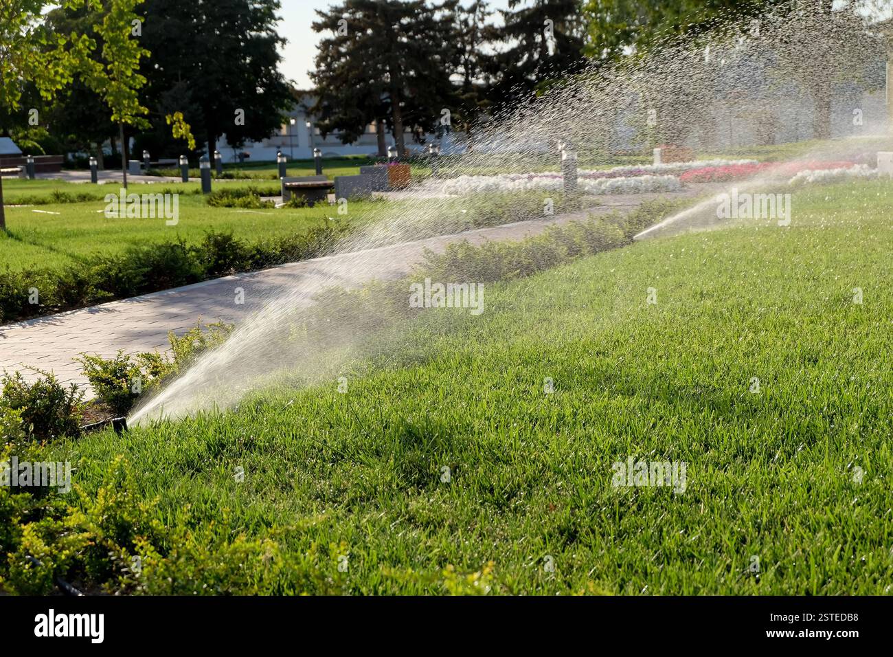 Sprinkler spraying water over green grass Stock Photo - Alamy