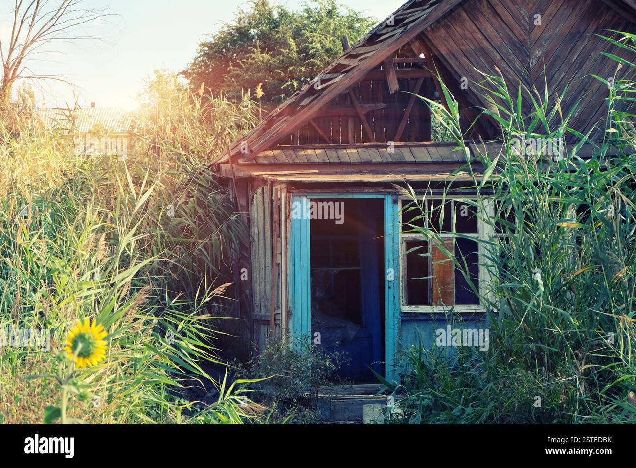 Old-fashioned wood hut in Russia Stock Photo - Alamy