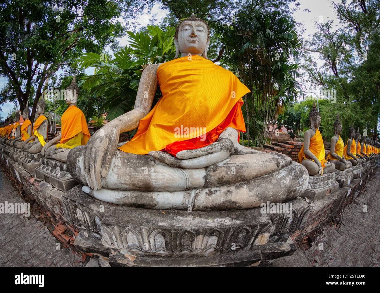 Row of Buddha statues in the old temple. Thailand, Ayutthaya Stock ...