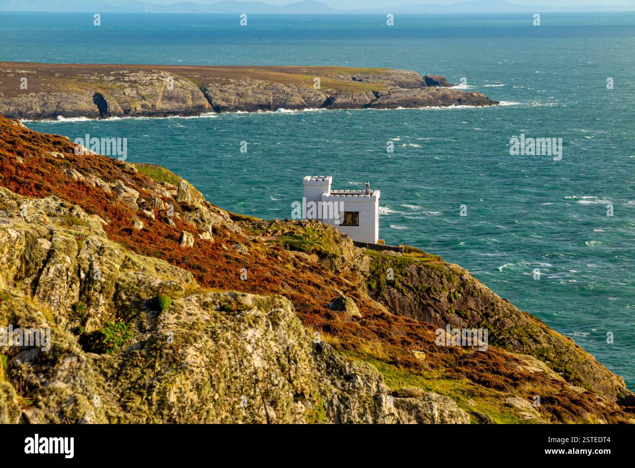 Elin's Tower or Ellin's Tower a Victorian castellated folly, South ...
