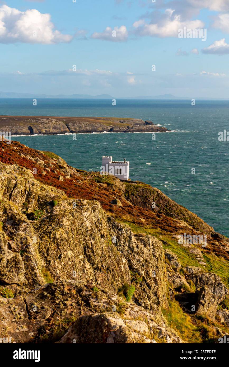 Elin's Tower or Ellin's Tower a Victorian castellated folly, South ...