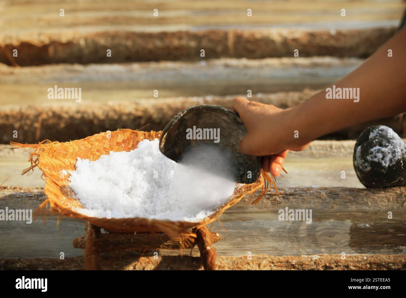 Work on the salt production - traditional method. Bali, Indonesia Stock ...