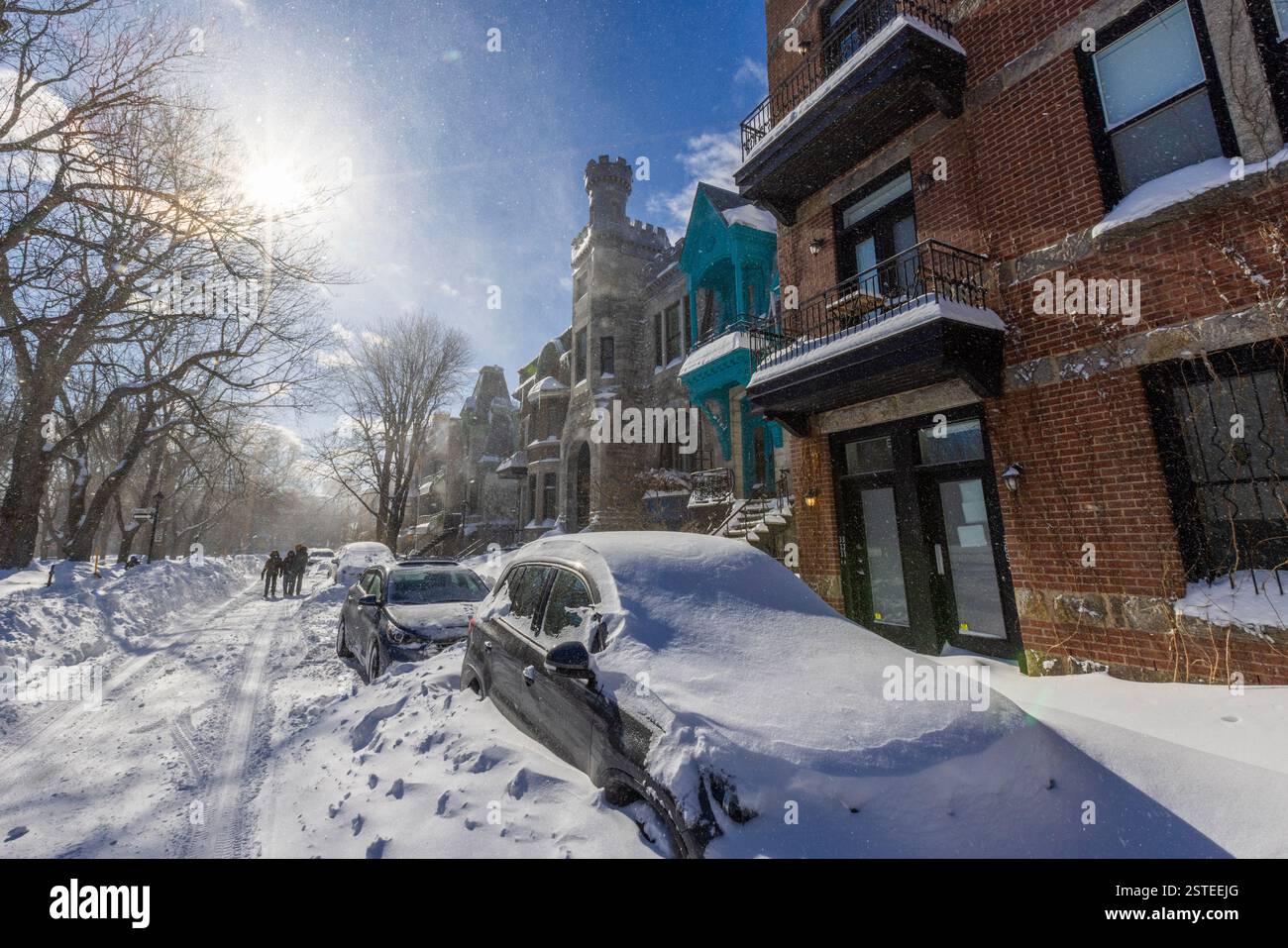 Snow storm in Le Plateau-Mont-Royal, Montreal, Canada Stock Photo - Alamy