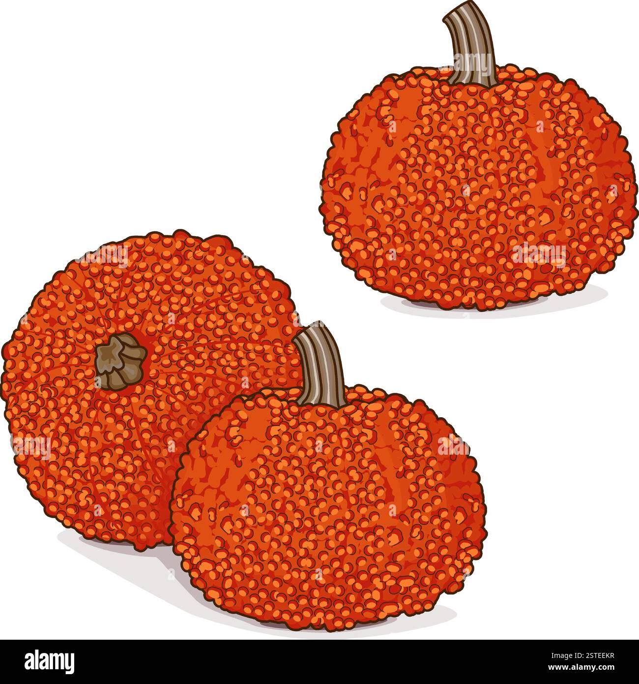 Group of Red Warty Thing Pumpkin. Winter squash. Cucurbita maxima ...