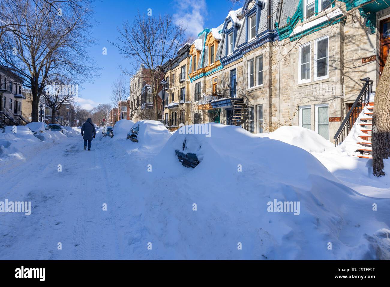 Snow storm in Le Plateau-Mont-Royal, Montreal, Canada Stock Photo - Alamy