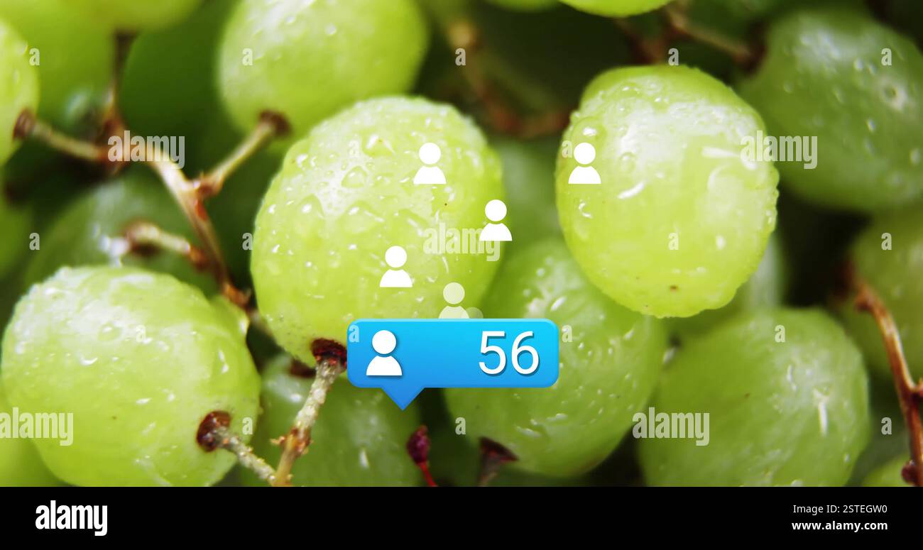 Vine app user interface hi-res stock photography and images - Alamy