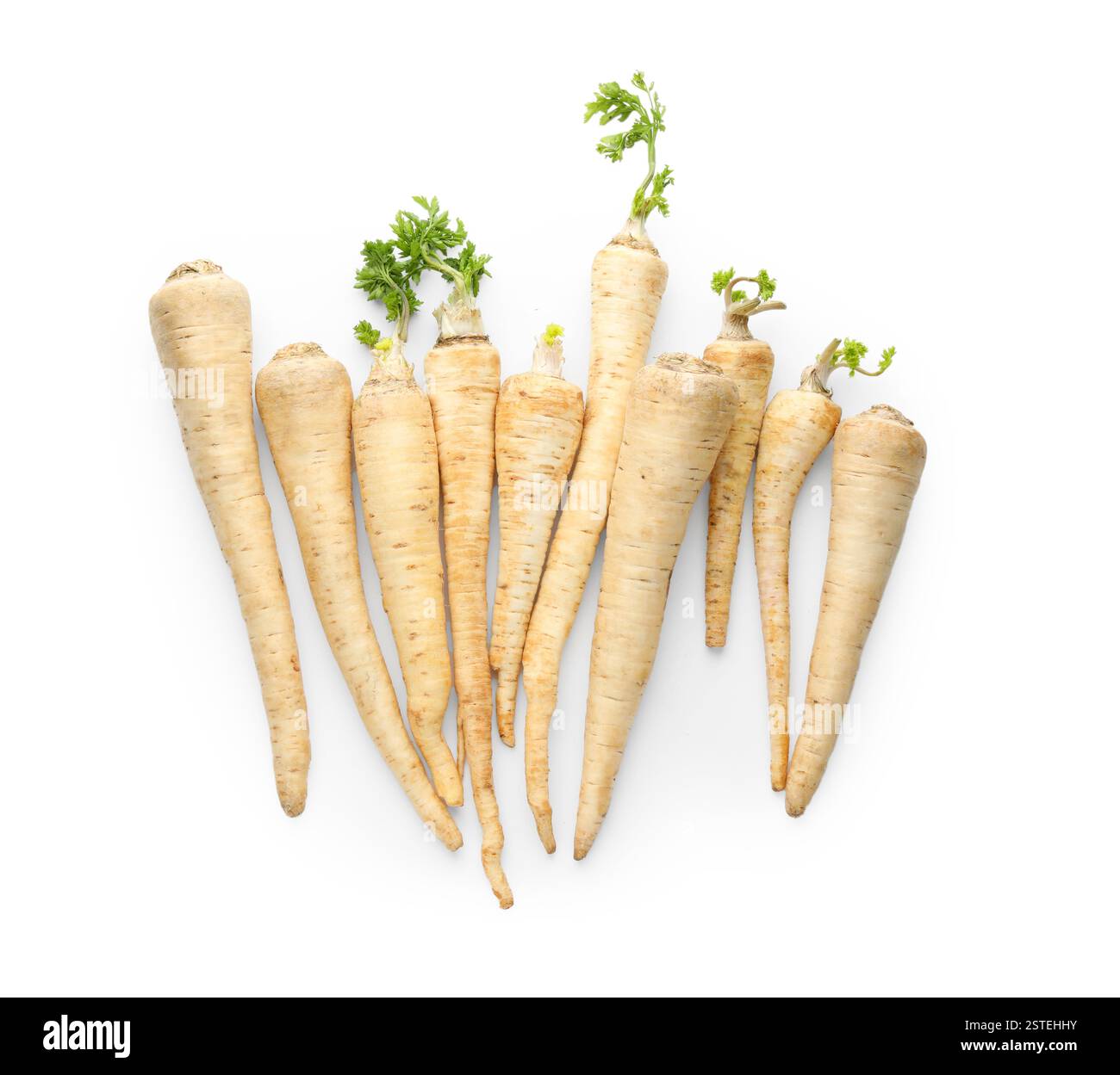 Many fresh parsley roots isolated on white, top view Stock Photo - Alamy