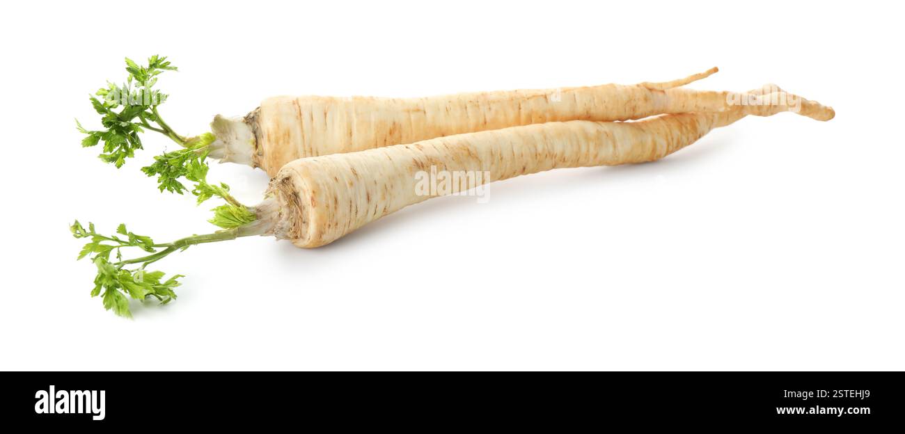 Two fresh parsley roots isolated on white Stock Photo - Alamy