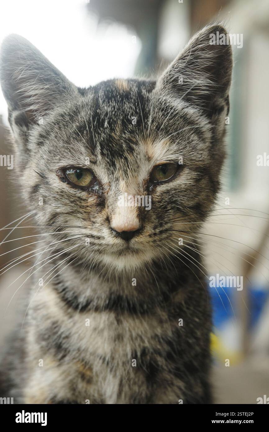 Poor sadness hi-res stock photography and images - Alamy