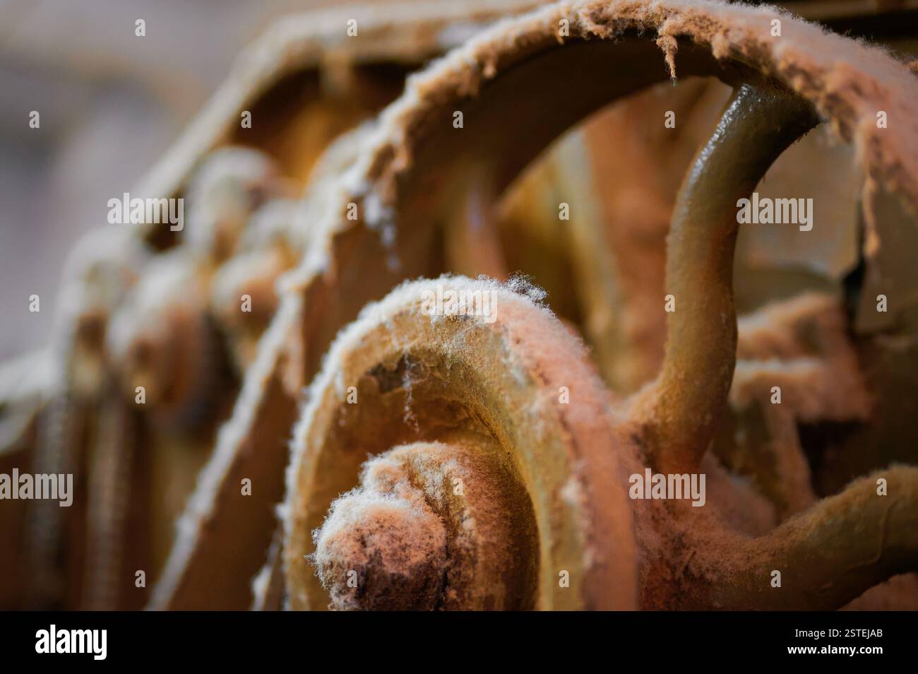 Intricate details of ancient textile machines adorned with frost ...