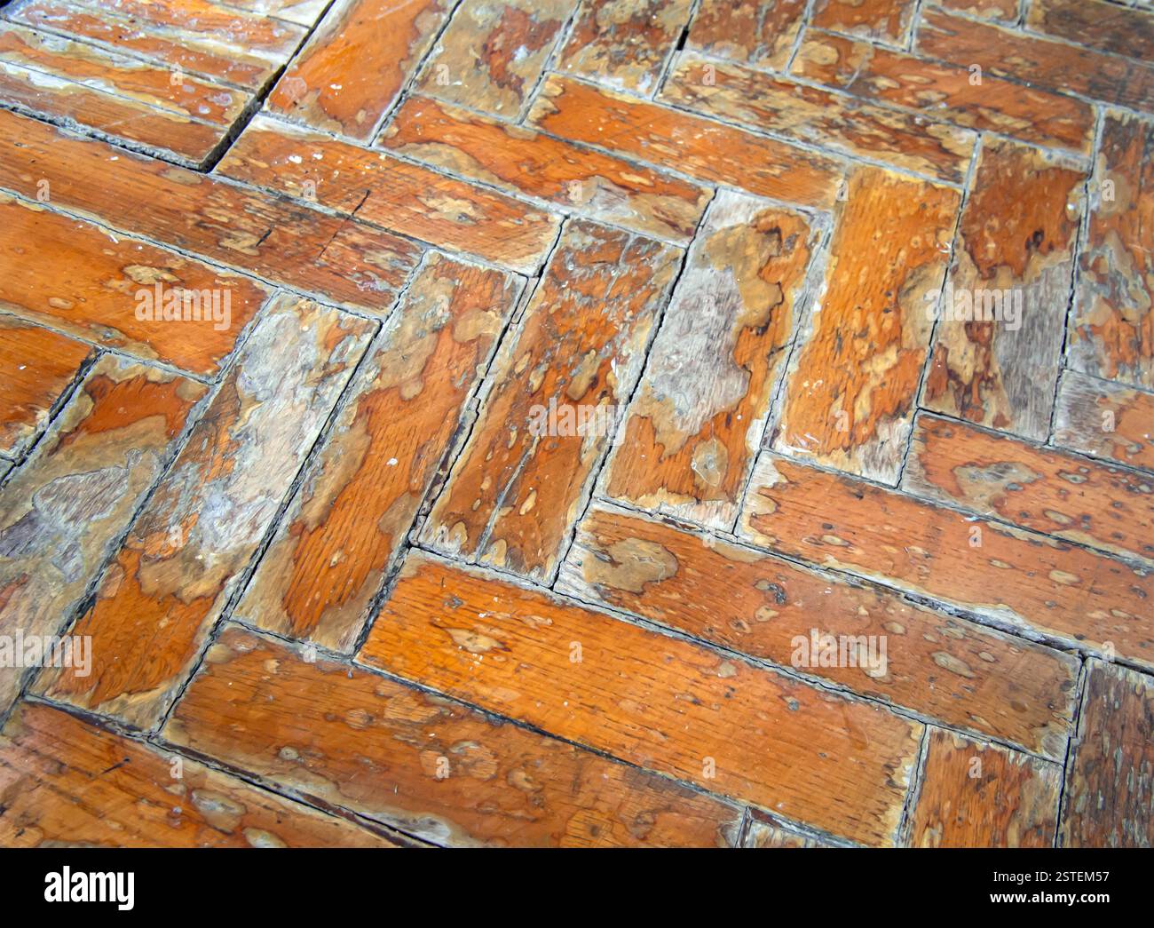Herringbone parquet laminate floor hi-res stock photography and images ...