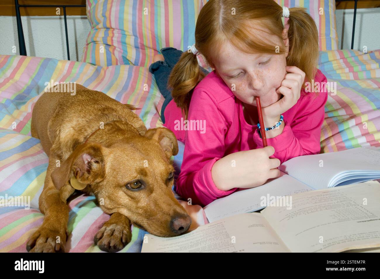 Making homework together Stock Photo - Alamy