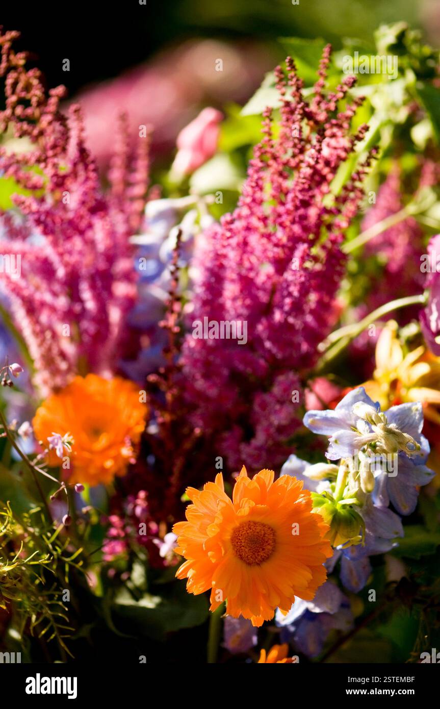 Summer_flowers hi-res stock photography and images - Alamy