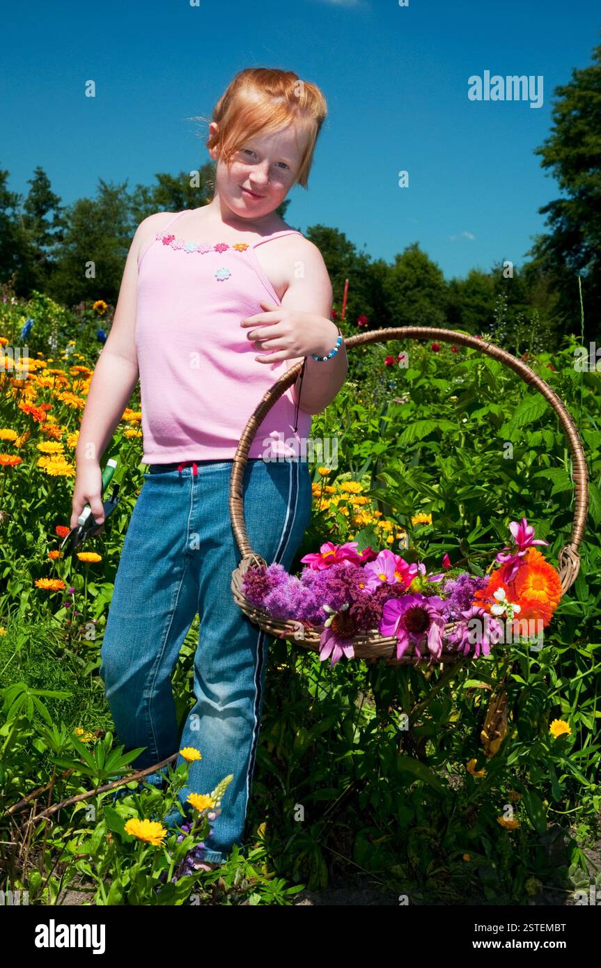 Girl is plucking flowers Stock Photo - Alamy