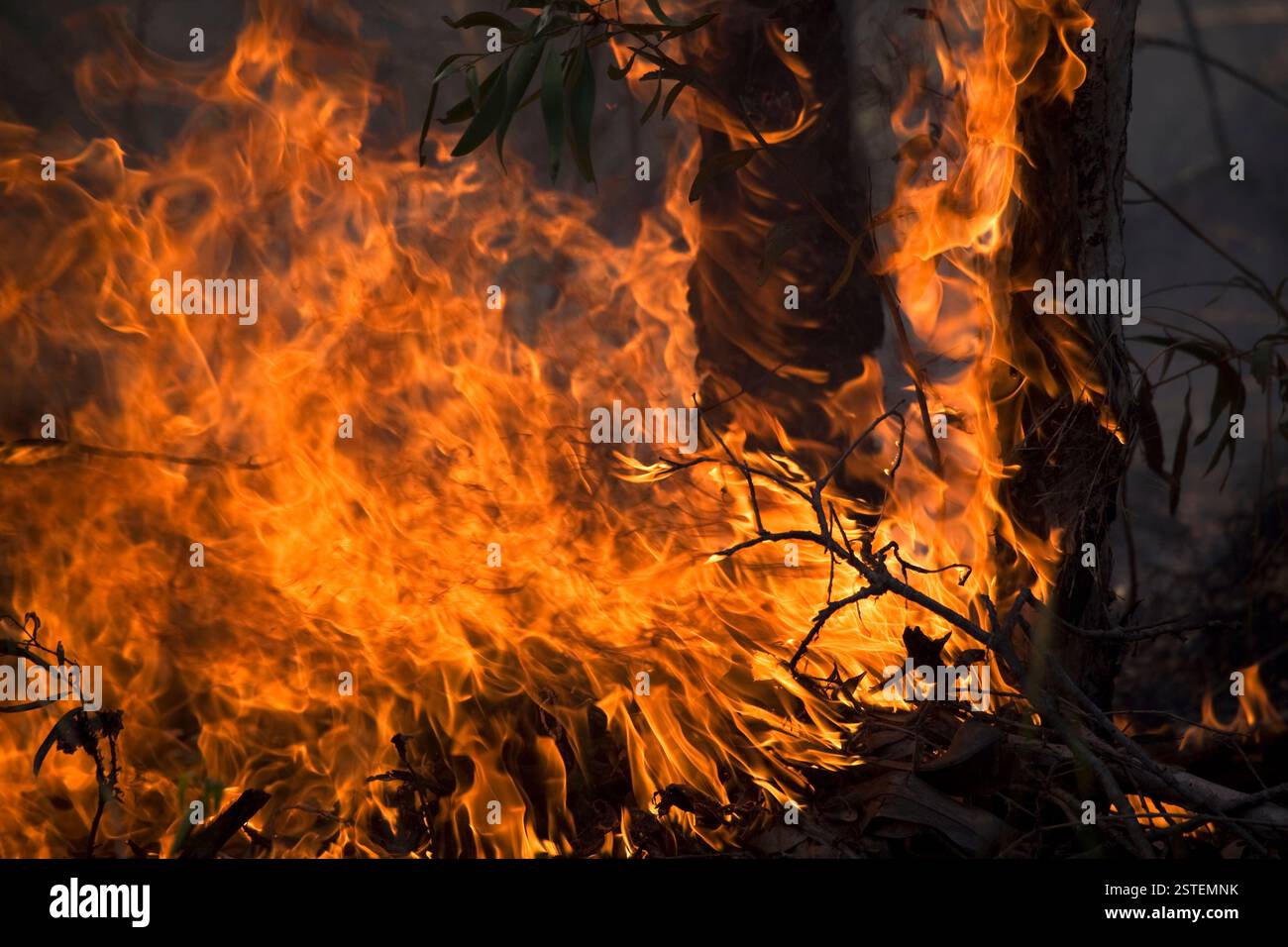 Fire disaster at hi-res stock photography and images - Alamy