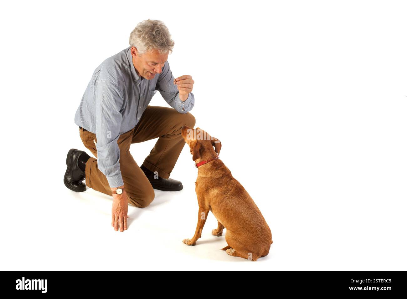 Obedience education hi-res stock photography and images - Alamy