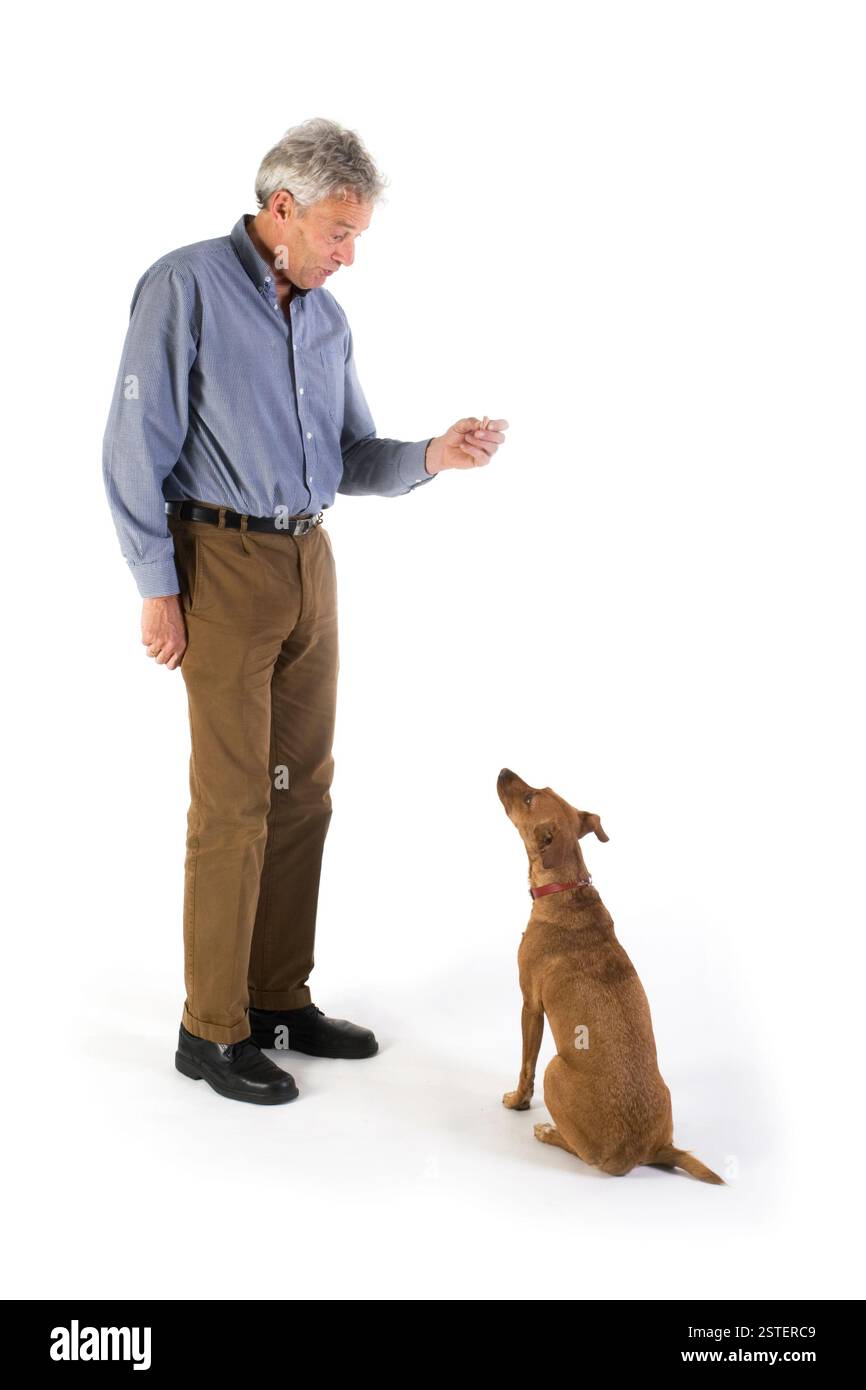 Training command Cut Out Stock Images & Pictures - Alamy