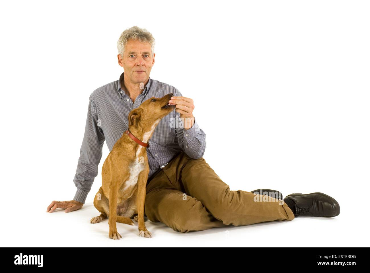 Senior man with his crossbreed brown dog hi-res stock photography and ...