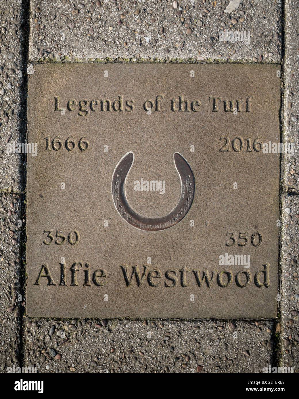 Legends of the Turf Newmarket - Newmarket's 'Walk of Fame ...