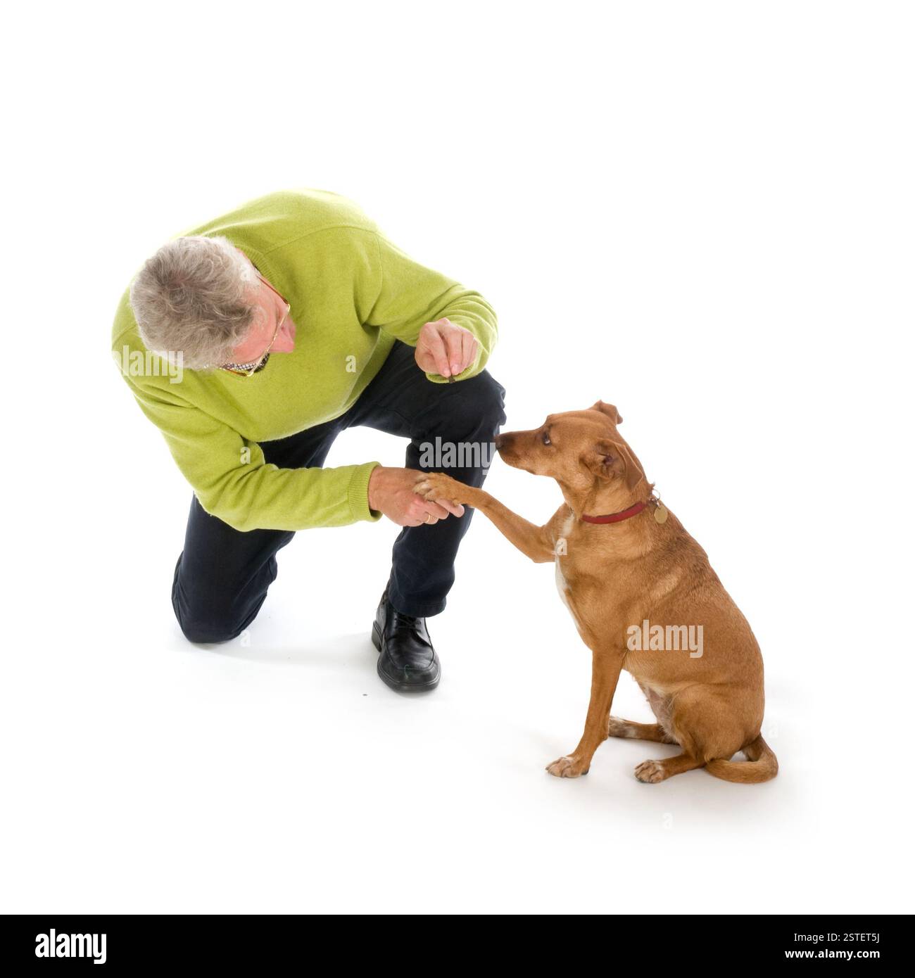 Man training pet dog Cut Out Stock Images & Pictures - Alamy