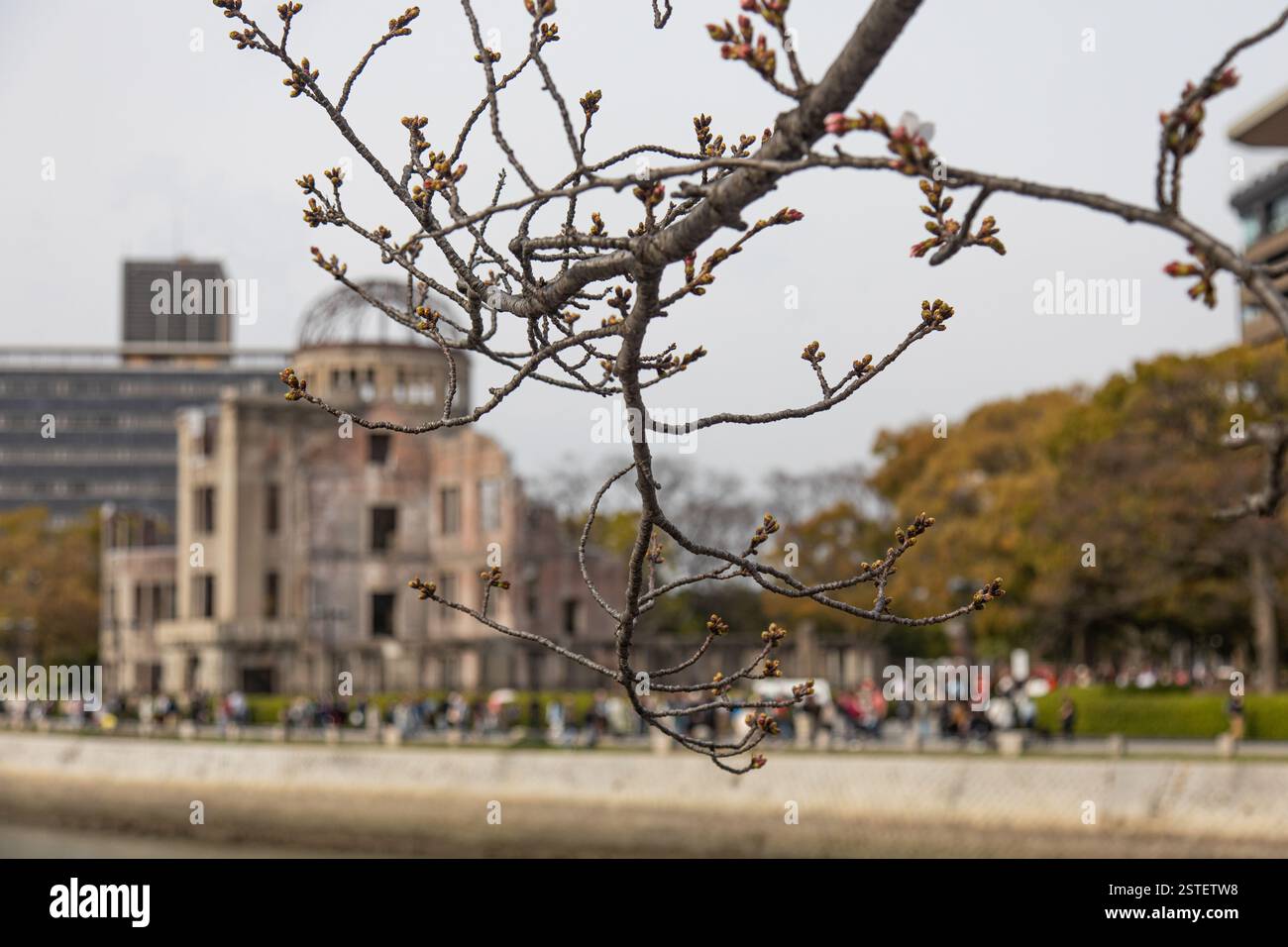 Hiroshima, Japan - 30-3-2024: peace park and Dome, preserved ruins ...