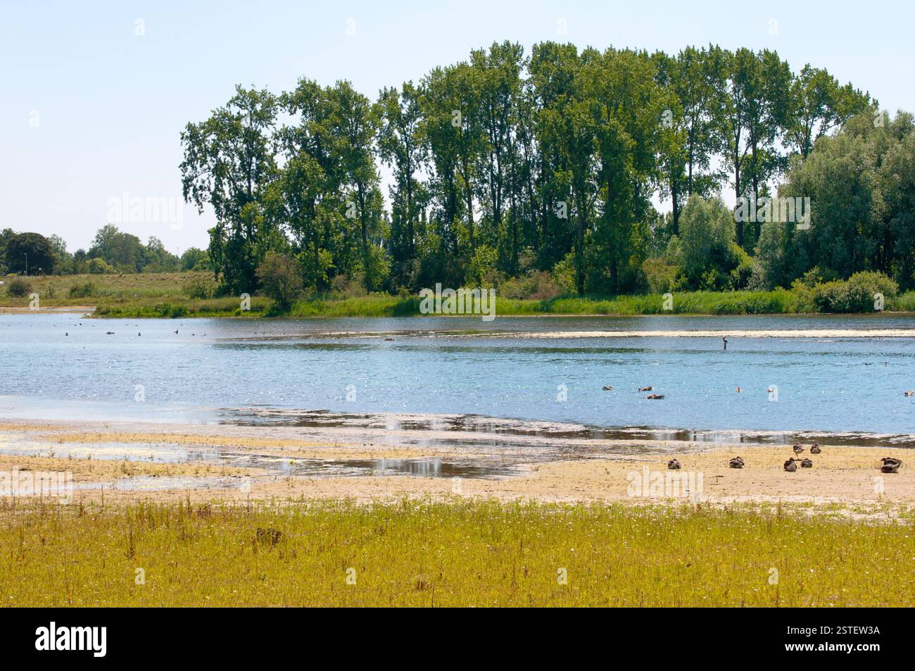 Lek river netherlands holland dutch hi-res stock photography and images ...