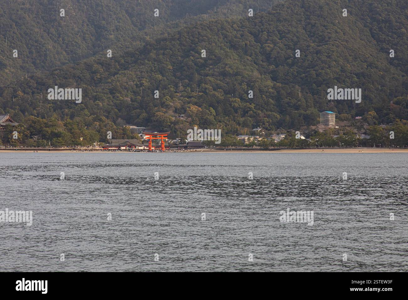 Itsukushima, Hiroshima, Japan - 30-3-2024: Miyajima Island, famous ...