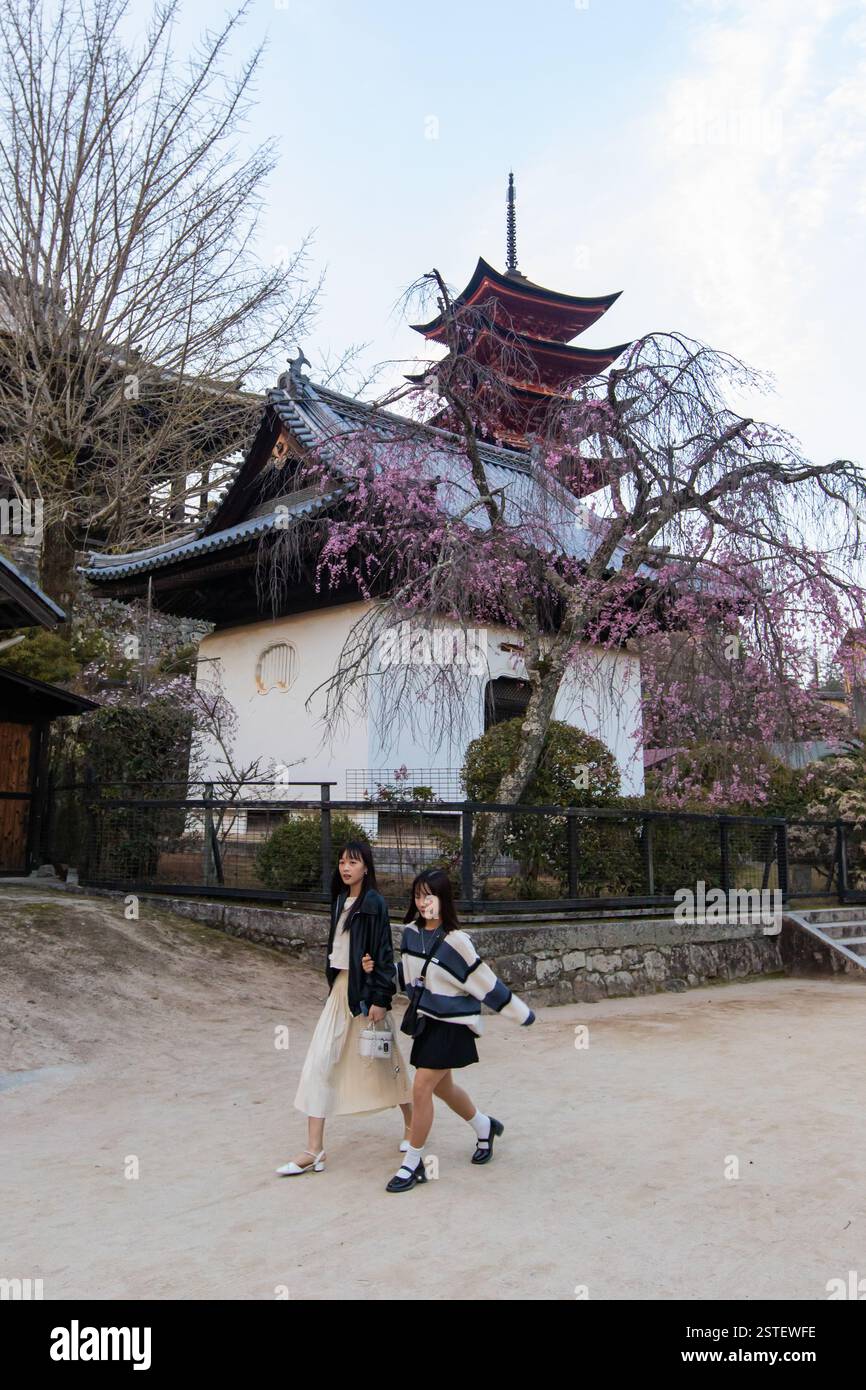 Itsukushima, Hiroshima, Japan - 30-3-2024: Miyajima Island, famous ...