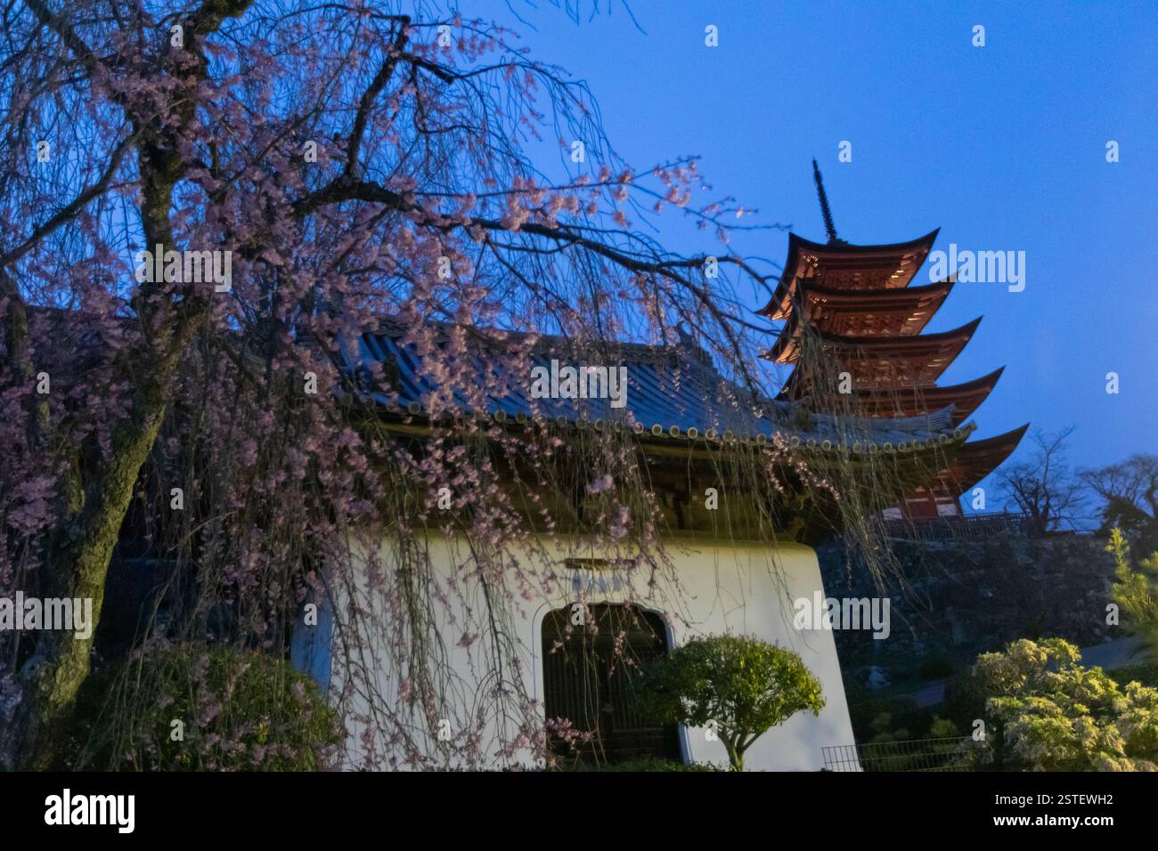 Itsukushima, Hiroshima, Japan - 30-3-2024: Miyajima Island, famous ...