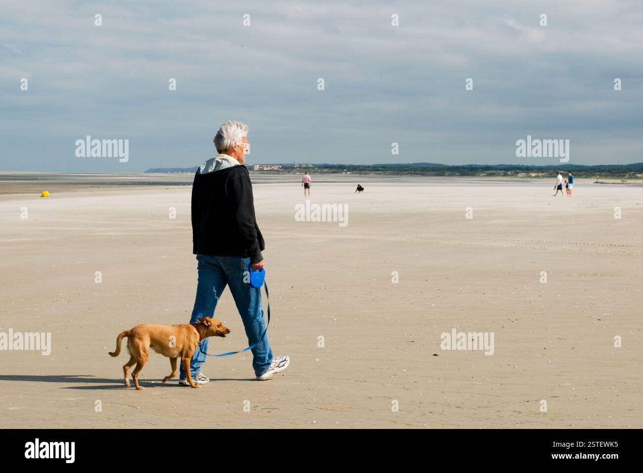 Elderly man dog walking hi-res stock photography and images - Alamy