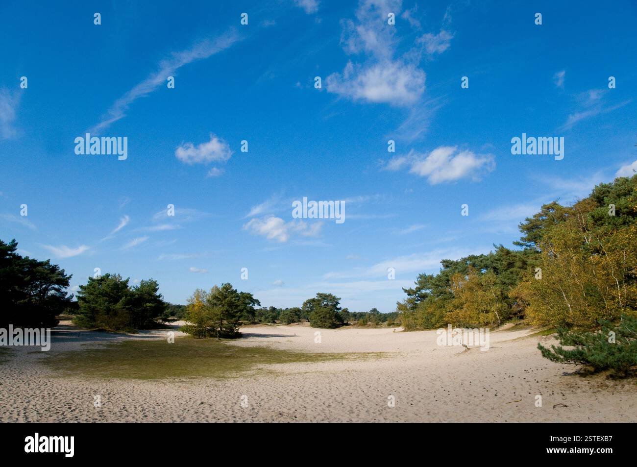 Soesterduinen netherlands hi-res stock photography and images - Alamy