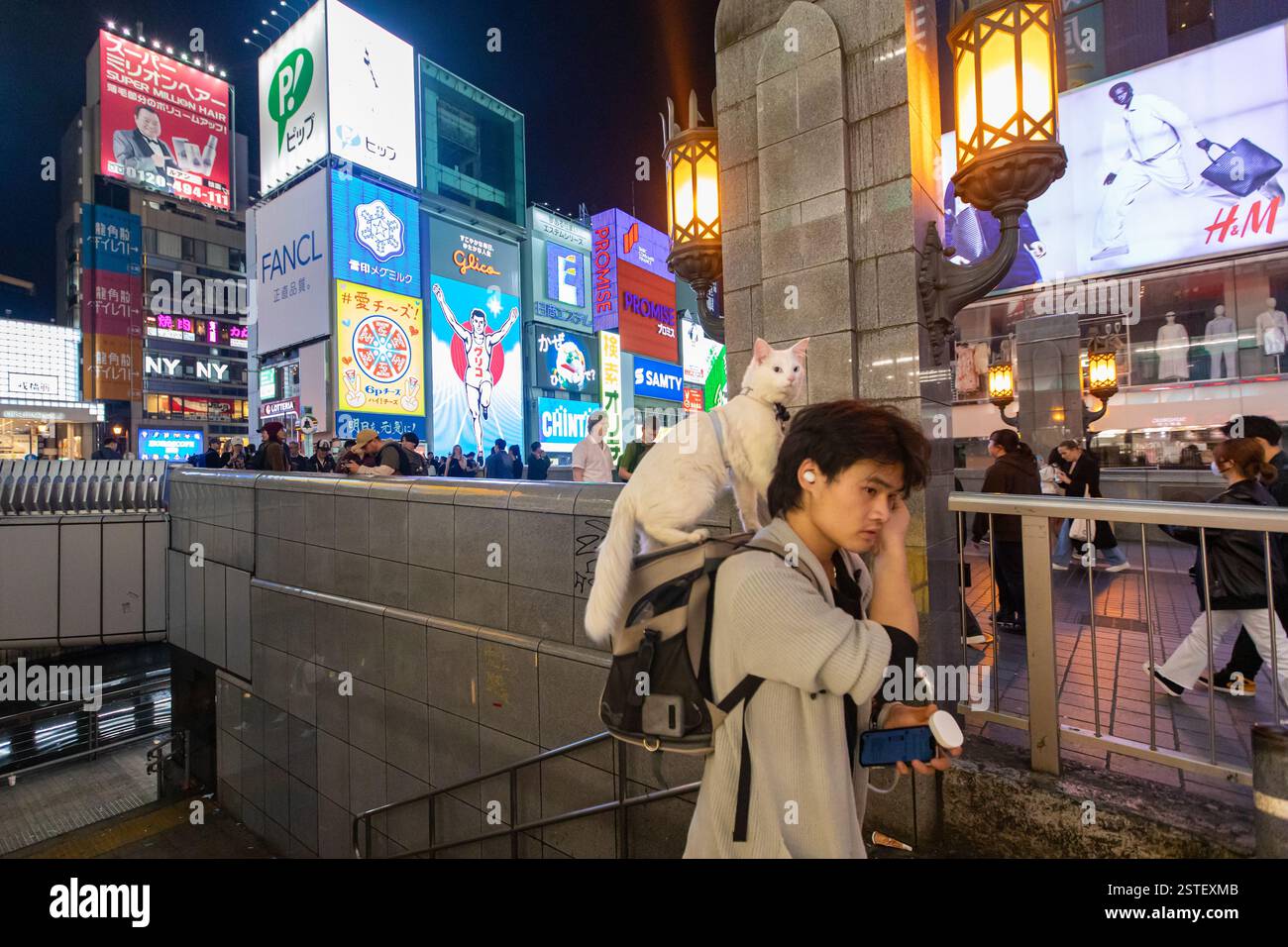 Osaka, Japan, 2-4-2024: Dotonbori at night, neon lights glowing ...
