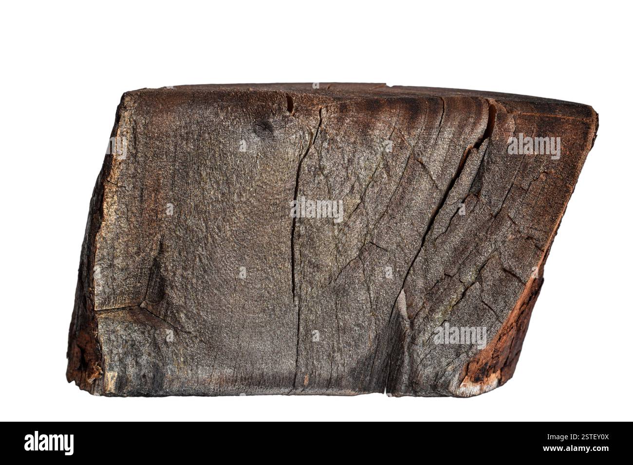 Rough rustic wooden slab that can be used as a pedestal to display ...