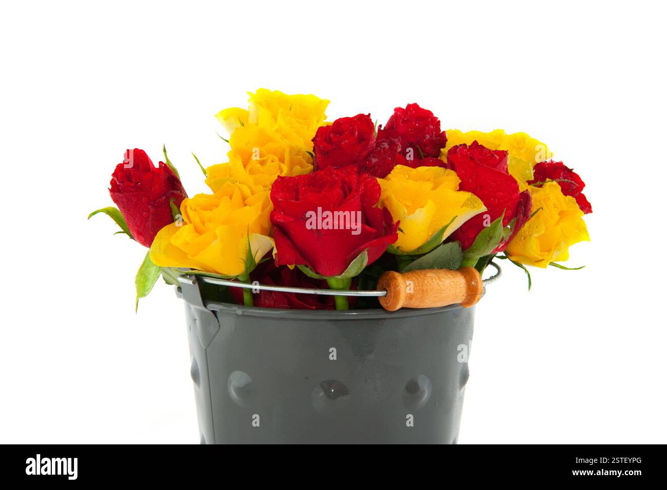 Bucket with roses Stock Photo - Alamy