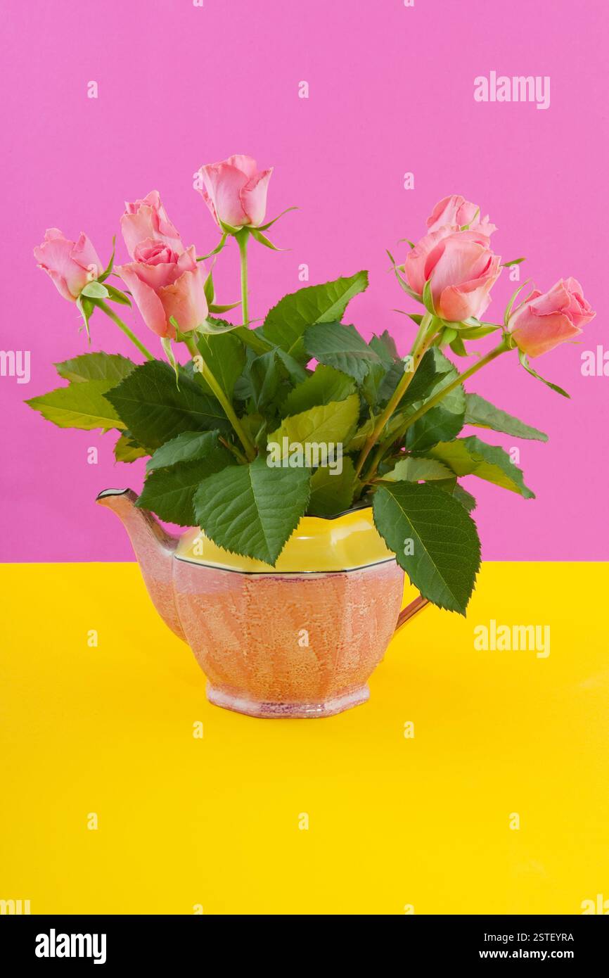 Yellow pink roses hi-res stock photography and images - Alamy