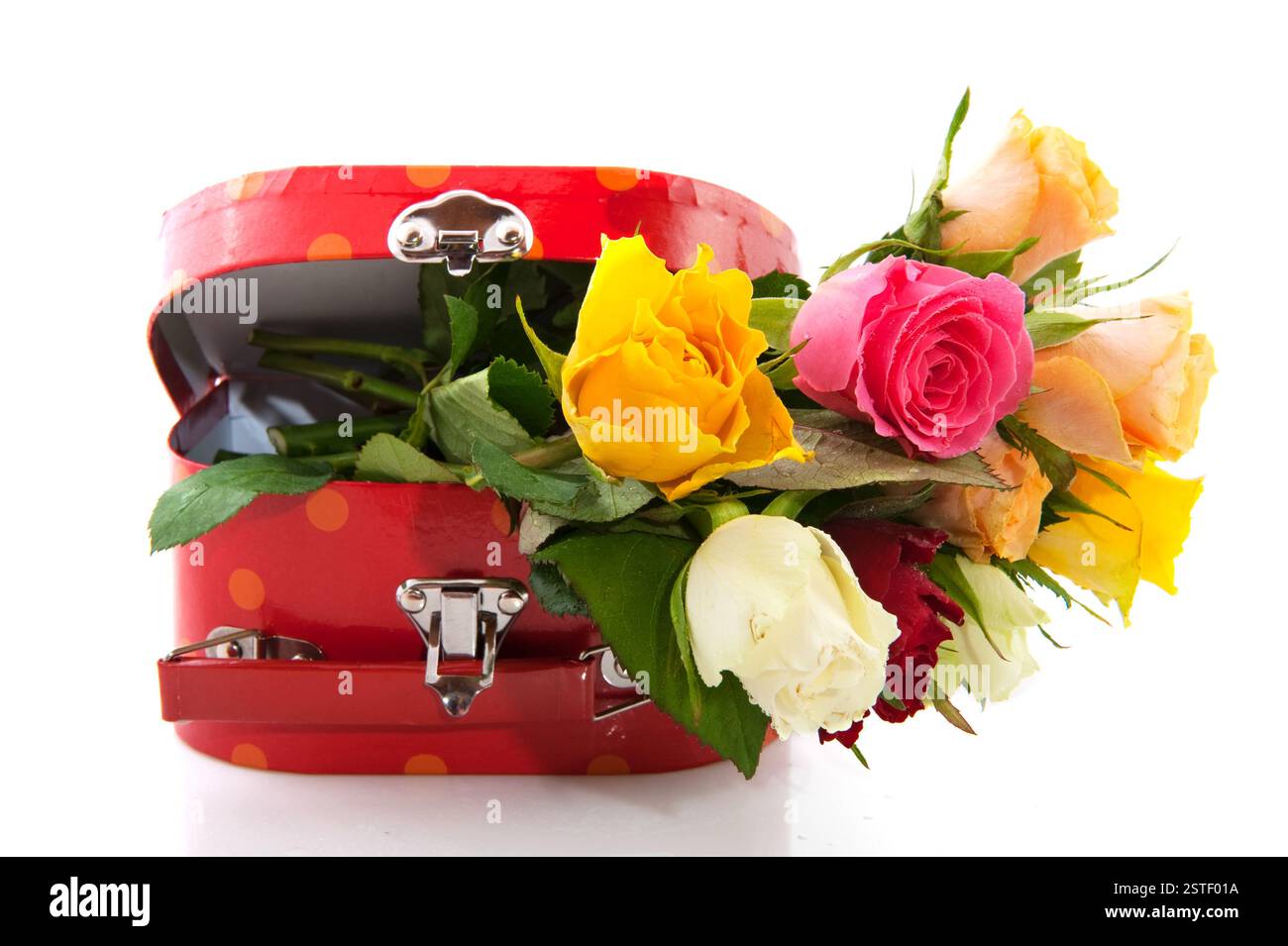 Colorful roses in red suitcase Stock Photo - Alamy