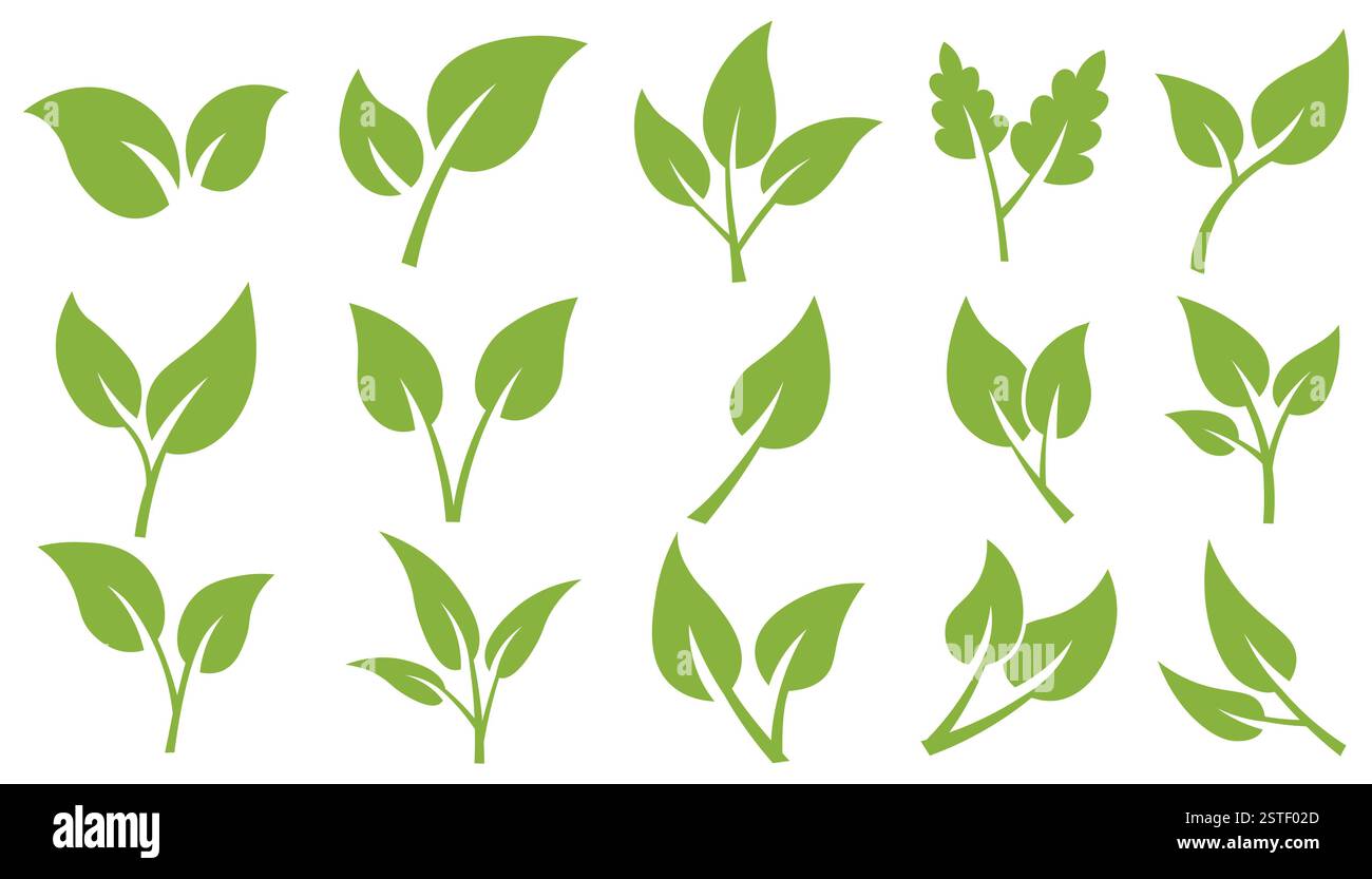 Green leaf icons set. Leaves icon. Elements design for natural, eco ...