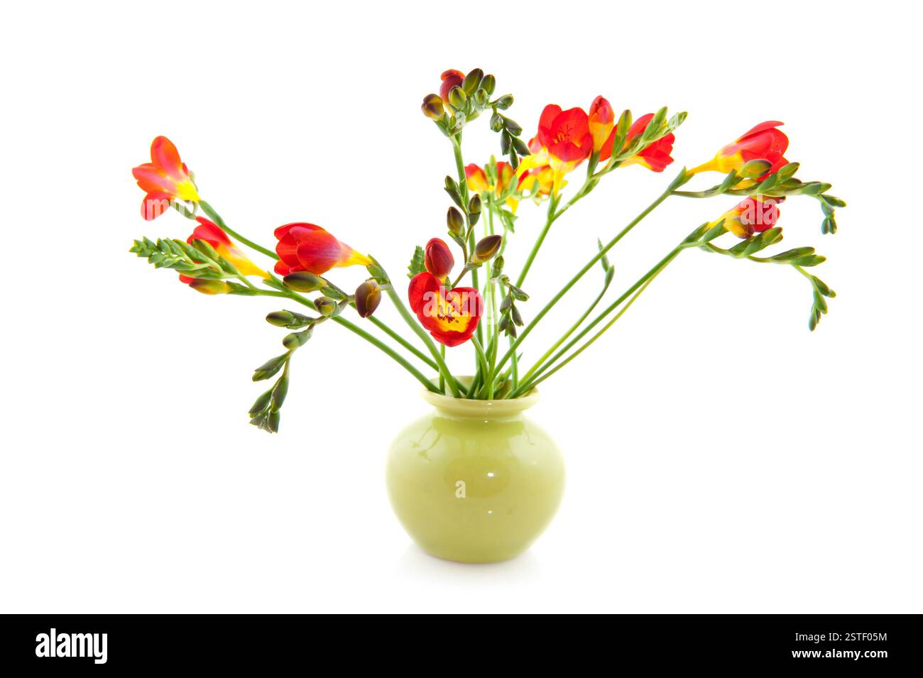 Bunch freesias in vase hi-res stock photography and images - Alamy