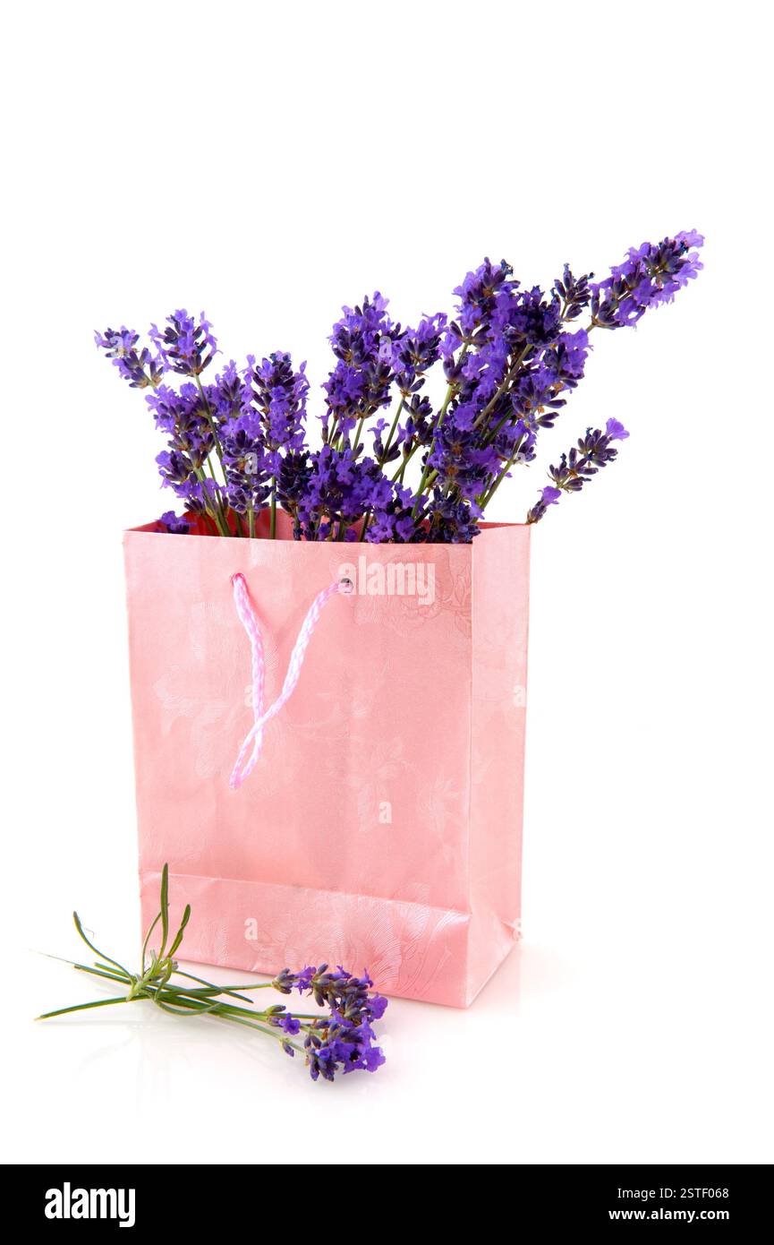 Lavender in pink paper bag Stock Photo - Alamy